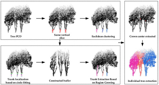 Remote Sensing Free Full Text Trunk Constrained And Tree Structure Analysis Method For