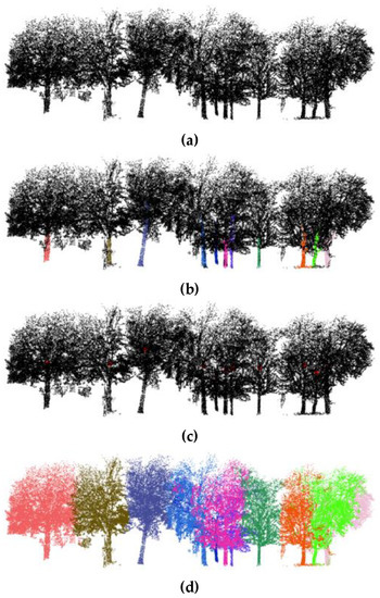 Remote Sensing Free Full Text Trunk Constrained And Tree Structure Analysis Method For