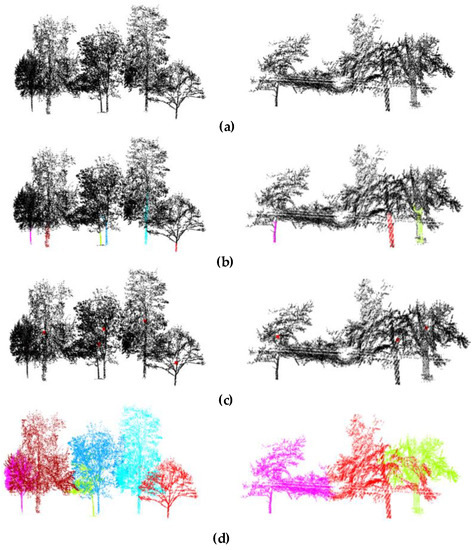 Remote Sensing Free Full Text Trunk Constrained And Tree Structure Analysis Method For