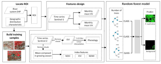 Remote Sensing | Free Full-Text | Large-Scale Populus euphratica Distribution Mapping Using Time ...