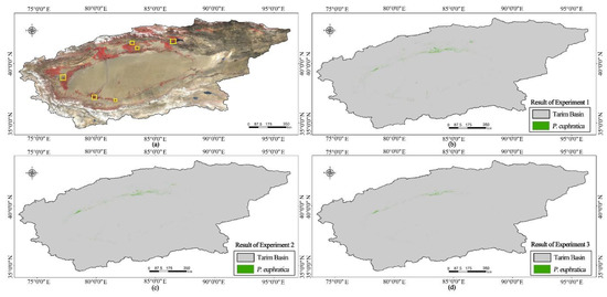 Large Scale Populus Euphratica Distribution Mapping Using Time Series Sentinel 12 Data In