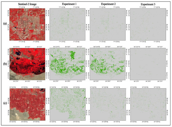 Remote Sensing | Free Full-Text | Large-Scale Populus euphratica Distribution Mapping Using Time ...
