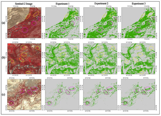 Remote Sensing | Free Full-Text | Large-Scale Populus euphratica Distribution Mapping Using Time ...