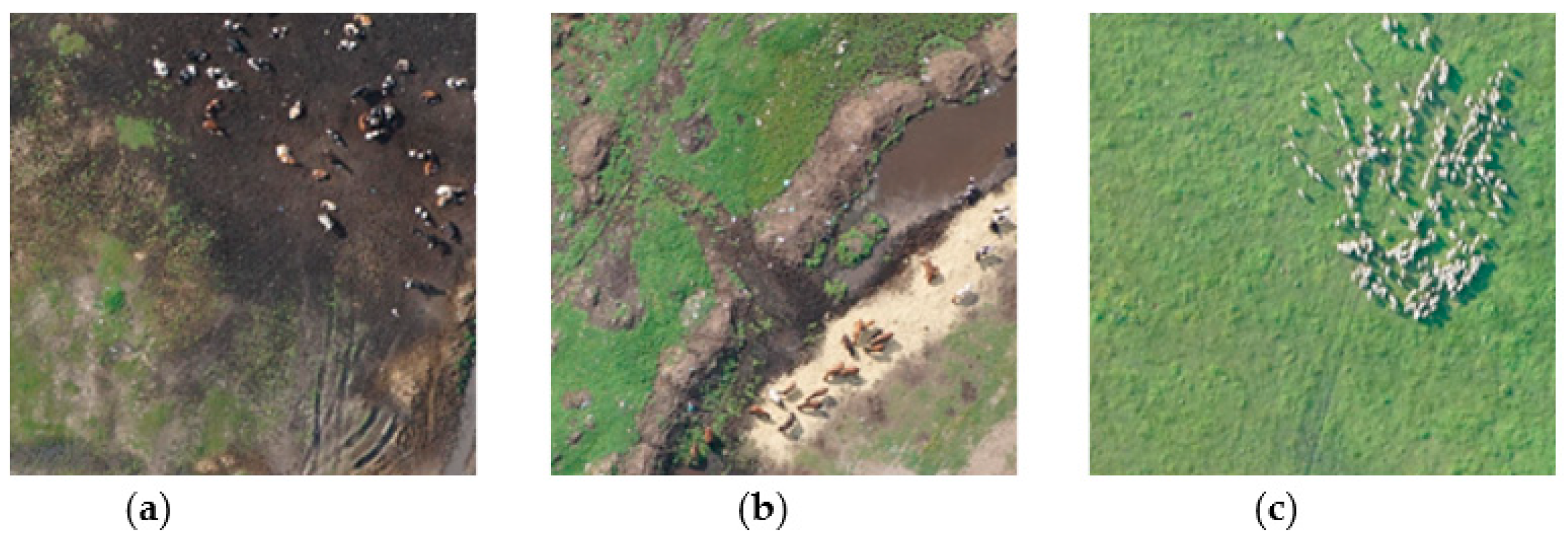 A Lightweight and High-Accuracy Deep Learning Method for Grassland ...