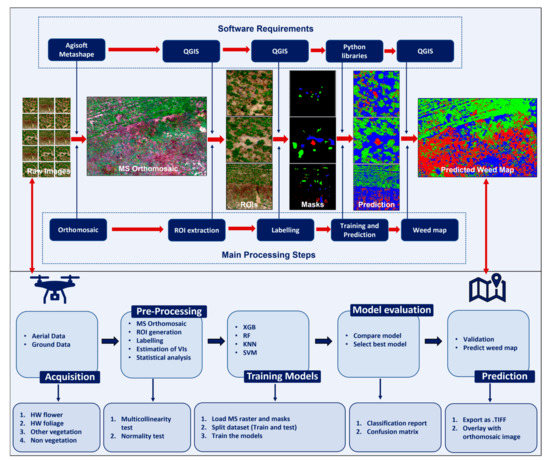 Autonomous Detection of Mouse-Ear Hawkweed Using Drones, Multispectral ...