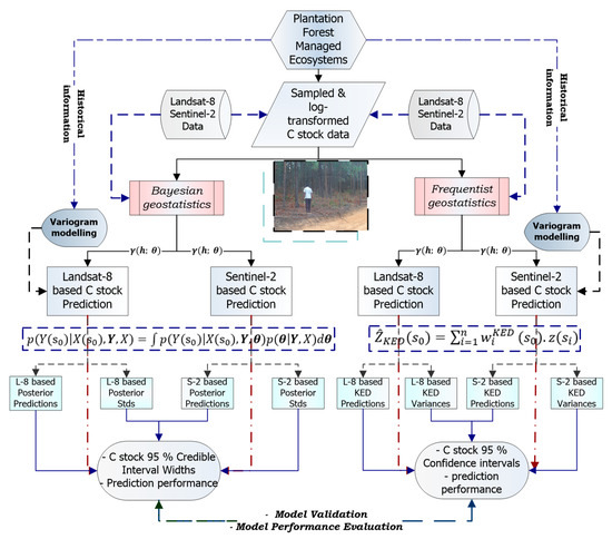 Carbon Stock Prediction in Managed Forest Ecosystems Using Bayesian and ...