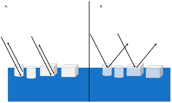 Investigating the Backscatter of Marine Plastic Litter Using a C- and X ...