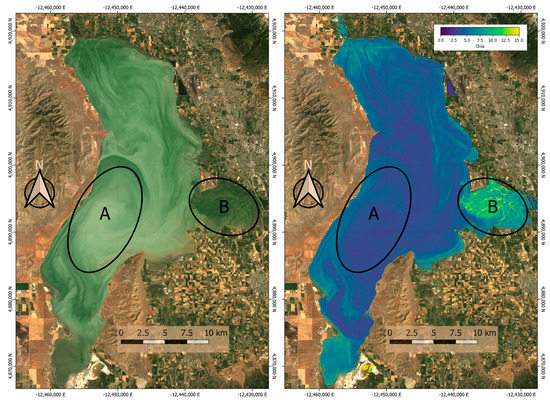 LASSO (L1) Regularization for Development of Sparse Remote-Sensing ...