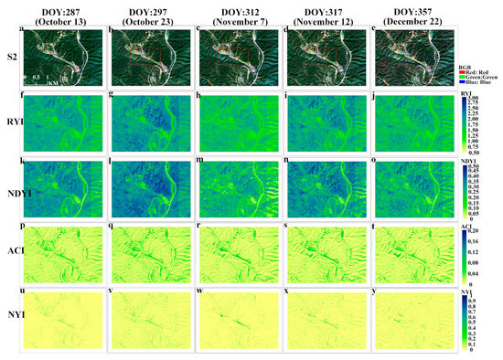 Development of a Spectral Index for the Detection of Yellow-Flowering ...