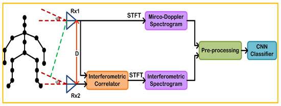 Human Activity Classification Based on Dual Micro-Motion Signatures Using Interferometric Radar