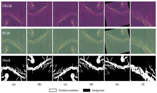 HY1C/D-CZI Noctiluca scintillans Bloom Recognition Network Based on ...