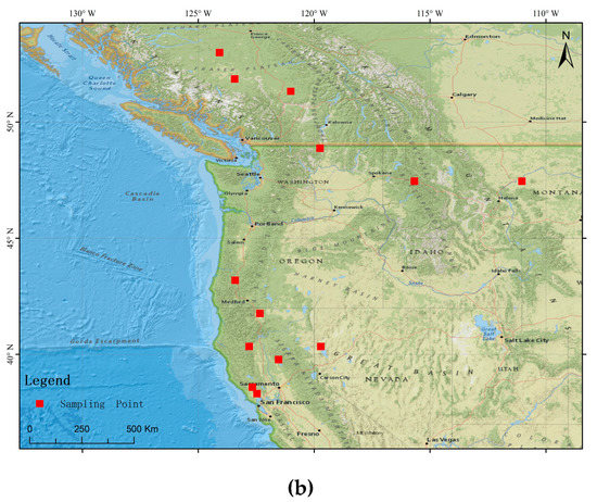 A Dynamic Effective Class Balanced Approach For Remote Sensing Imagery Semantic Segmentation Of