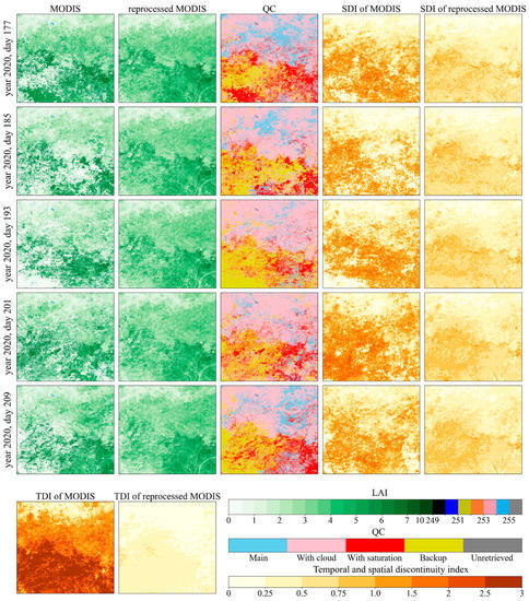 Reprocessed MODIS Version 6.1 Leaf Area Index Dataset and Its ...