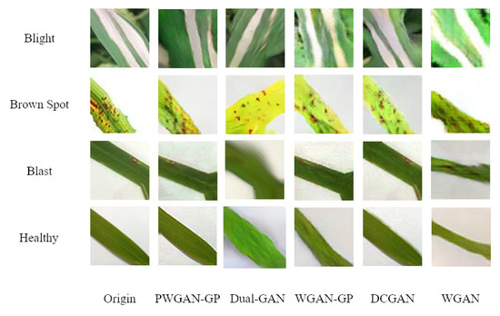 Enhanced CNN Classification Capability for Small Rice Disease Datasets ...