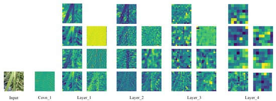 Enhanced CNN Classification Capability for Small Rice Disease Datasets ...