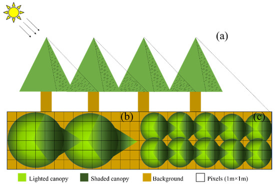 Interpretation and Mapping Tree Crown Diameter Using Spatial ...