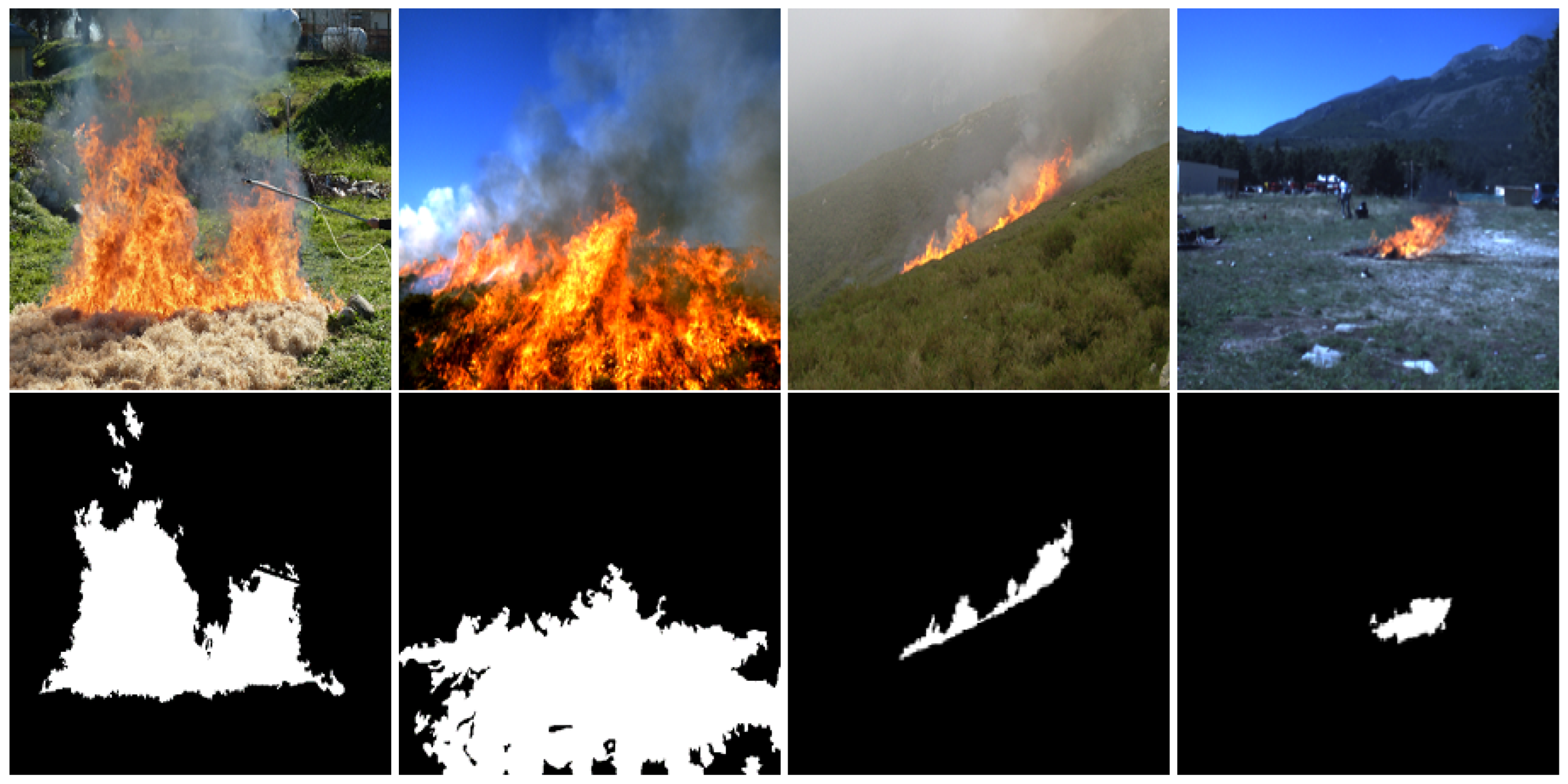 Deep Learning Approaches for Wildland Fires Remote Sensing ...