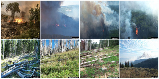 Deep Learning Approaches for Wildland Fires Remote Sensing ...