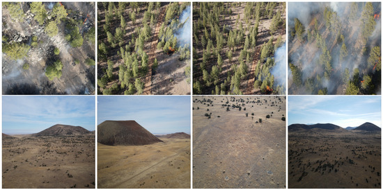 Deep Learning Approaches for Wildland Fires Remote Sensing ...