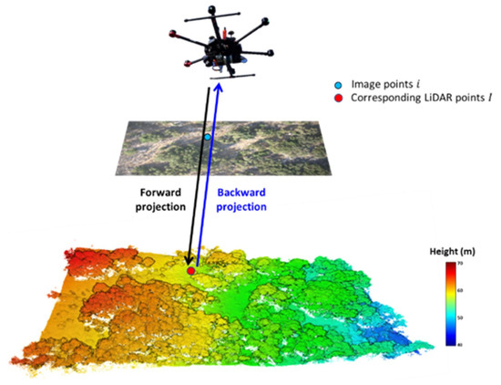 UAV-Based Remote Sensing for Detection and Visualization of Partially ...