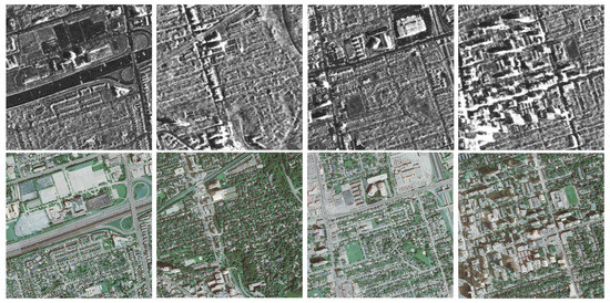 Two-Way Generation of High-Resolution EO and SAR Images via Dual ...