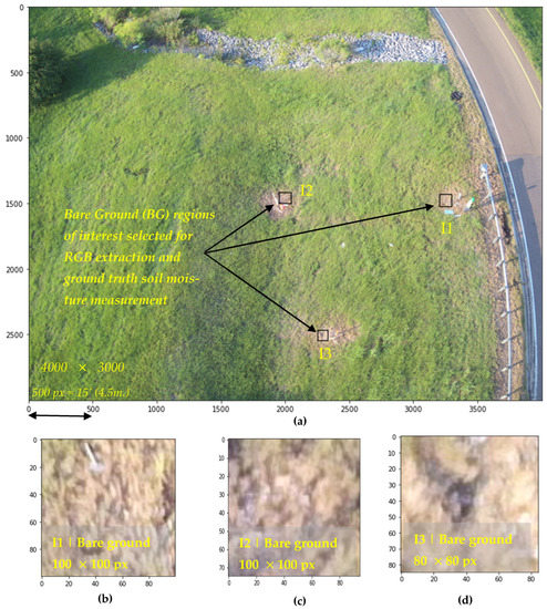 Remote Sensing | Free Full-Text | Near-Surface Soil Moisture ...