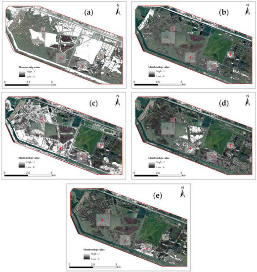 Fuzzy Geospatial Object-Based Membership Function Downscaling