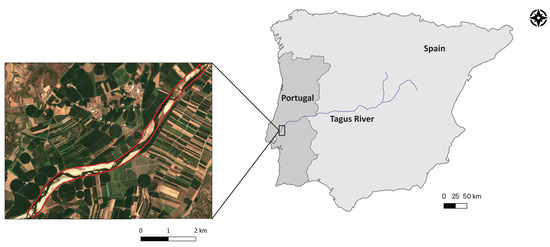 Remote Sensing | Free Full-Text | Comparing the Capability of Sentinel ...