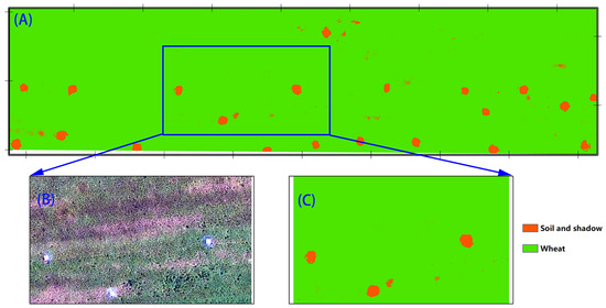 Remote Sensing | Free Full-Text | Mapping Wheat Take-All Disease Levels ...