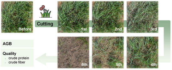 Mapping Forage Biomass and Quality of the Inner Mongolia Grasslands by ...