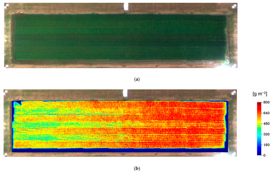 Rice Yield Prediction in Different Growth Environments Using Unmanned ...