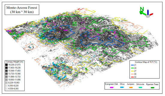 Unveiling Temperature Patterns in Tree Canopies across Diverse Heights ...