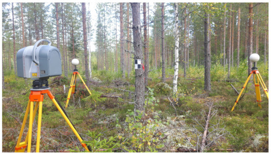 Stem Quality Estimates Using Terrestrial Laser Scanning Voxelized Data ...