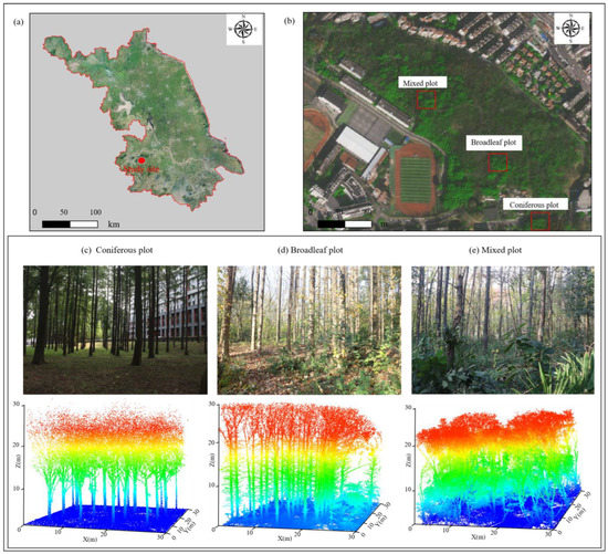 Extraction of Forest Structural Parameters by the Comparison of Structure from Motion (SfM) and ...