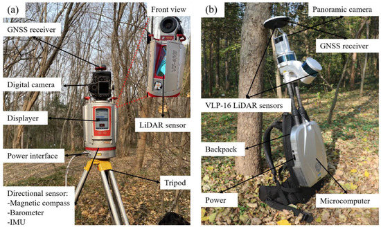 Extraction of Forest Structural Parameters by the Comparison of ...