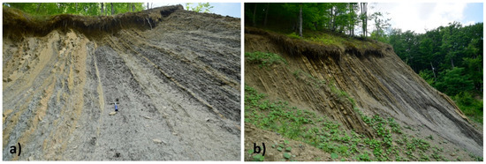 Using UAV Time Series to Estimate Landslides’ Kinematics Uncertainties ...