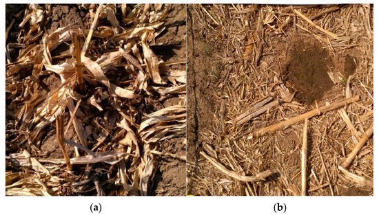 Modeling the Corn Residue Coverage after Harvesting and before Sowing ...