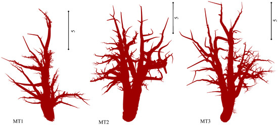 Geomatic Data Fusion for 3D Tree Modeling: The Case Study of Monumental ...