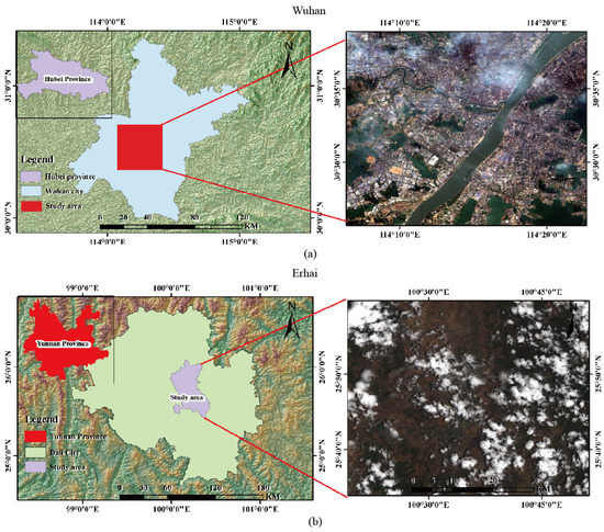 Denoising Diffusion Probabilistic Feature-Based Network for Cloud Removal in Sentinel-2 Imagery