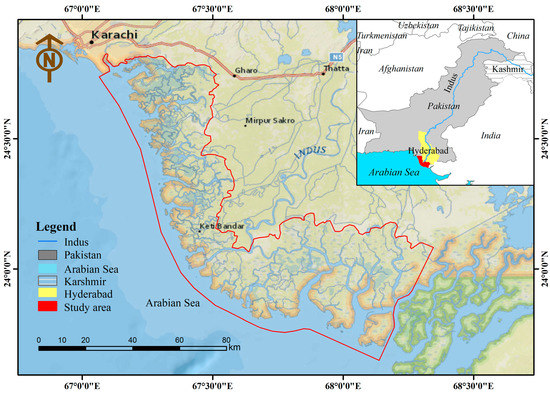 Indus Delta Mangroves