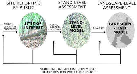 Integrating GIS, Remote Sensing, and Citizen Science to Map Oak Decline ...