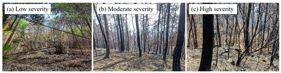Remote Sensing | Free Full-Text | Forest Fire Mapping Using Multi-Source Remote Sensing Data: A ...