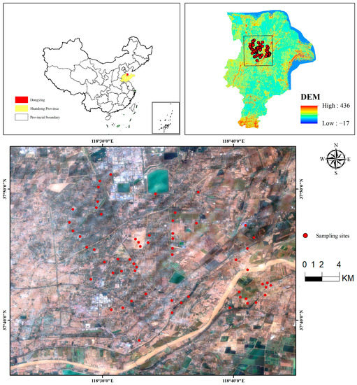 Remote Sensing | Free Full-Text | Comparing Machine Learning Algorithms for Soil Salinity ...
