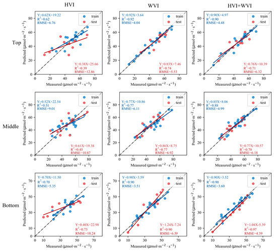 Wavelet Vegetation Index to Improve the Inversion Accuracy of Leaf V25cmax of Bamboo Forests