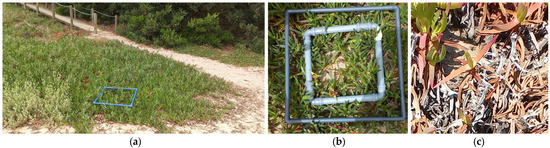 Application of a Multispectral UAS to Assess the Cover and Biomass of ...