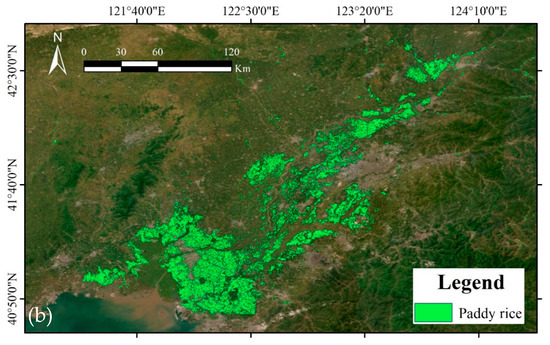 Inter-Continental Transfer of Pre-Trained Deep Learning Rice Mapping ...