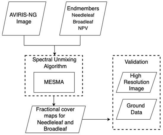 Estimation and Validation of Sub-Pixel Needleleaf Cover Fraction in the ...