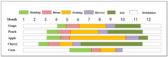 Remote Sensing | Free Full-Text | Economic Fruit Forest Classification Based on Improved U-Net ...