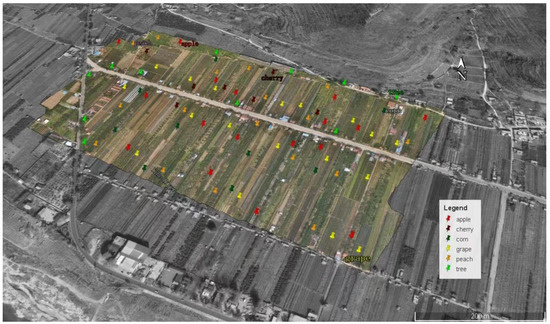 Remote Sensing | Free Full-Text | Economic Fruit Forest Classification Based on Improved U-Net ...