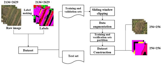 Remote Sensing | Free Full-Text | Economic Fruit Forest Classification Based on Improved U-Net ...